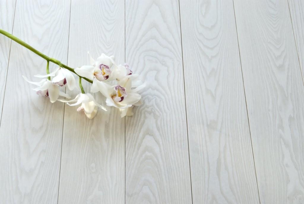 Snow White - Timberwise